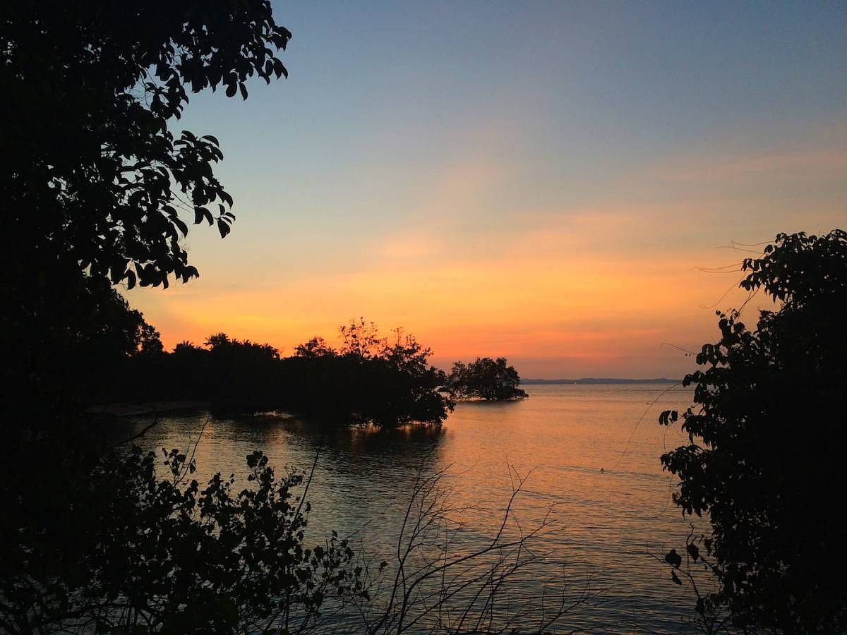 Kuala Linggi – Your Ultimate Raptor Watch Destination - Gaya Travel ...