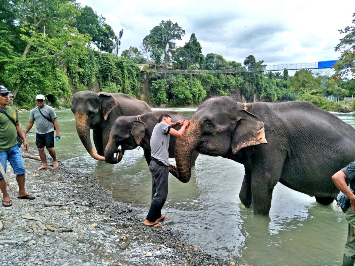 Adventuring North Sumatra - Gaya Travel Magazine
