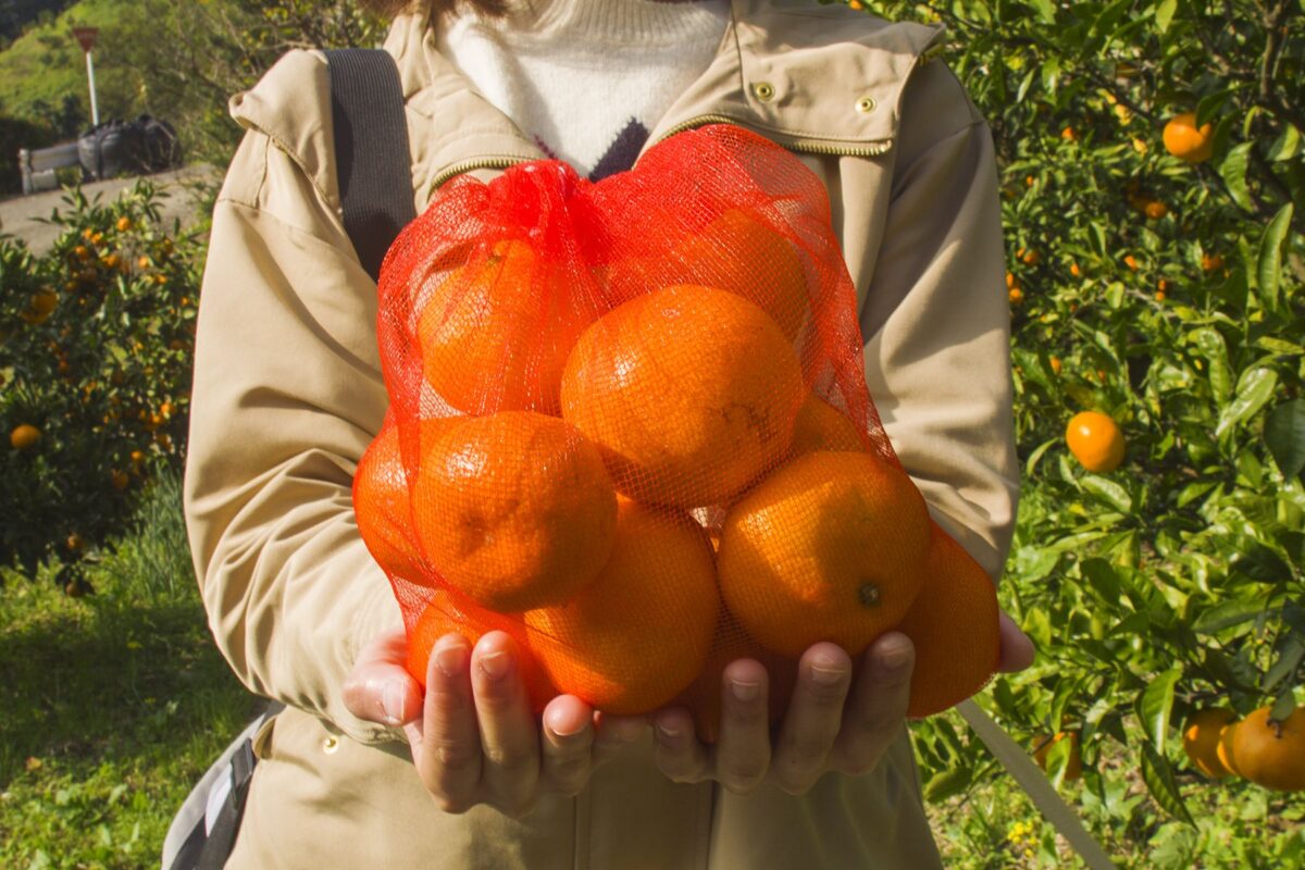 3 Reasons on Why You Should Try the Sweet and Juicy Mikan from Ehime ...