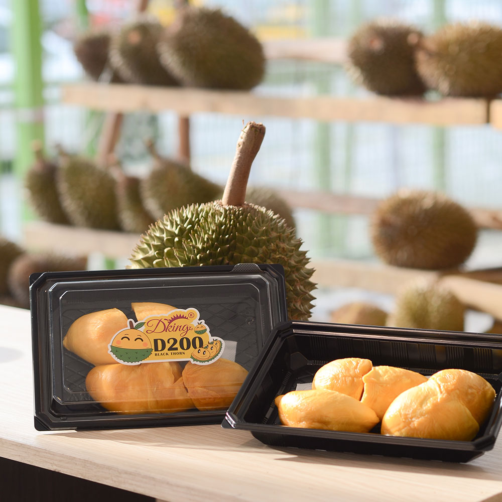 Jom Durian with Klook! - Gaya Travel Magazine