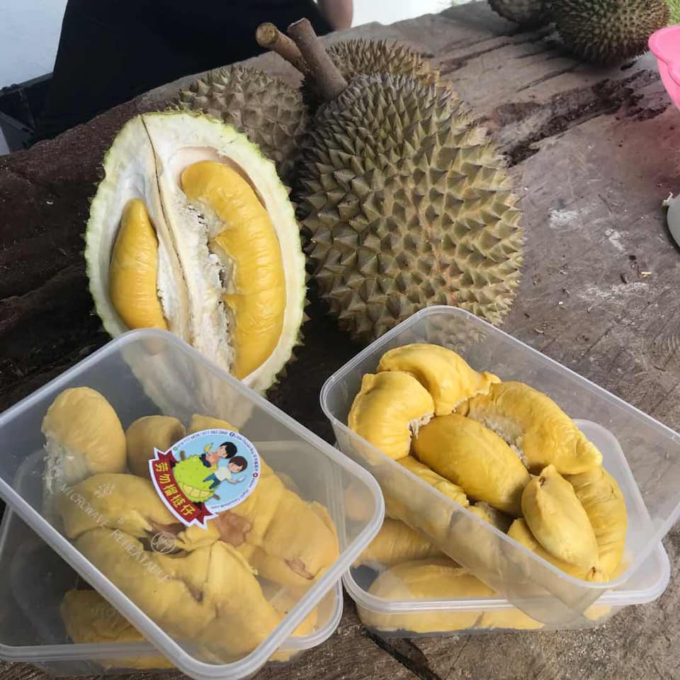 Jom Durian with Klook! - Gaya Travel Magazine