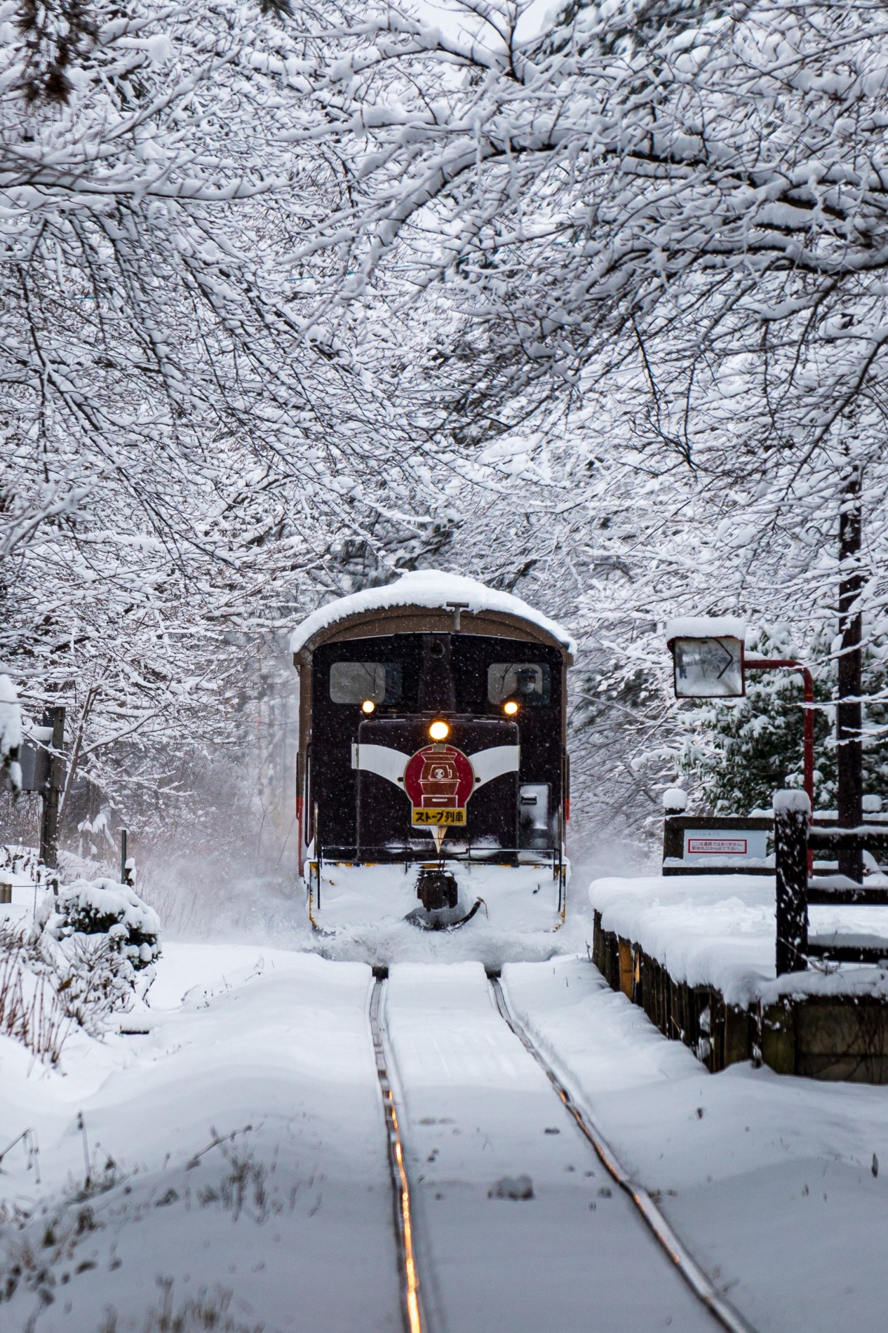 Experiencing Tohoku in Winter – Gaya Travel Magazine